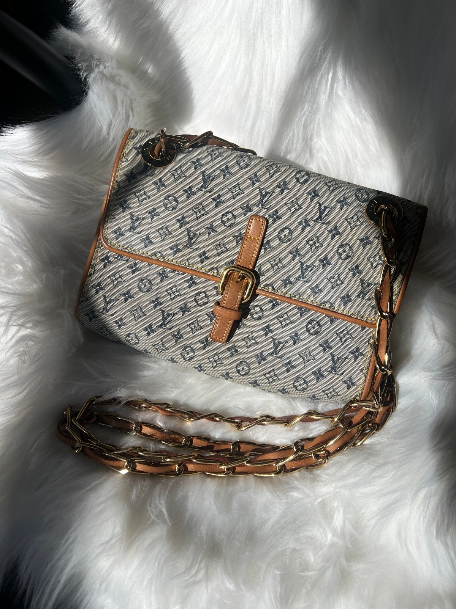 Louis Vuitton Mini Camille Monogram Canvas Light Gray – Styles via Sina